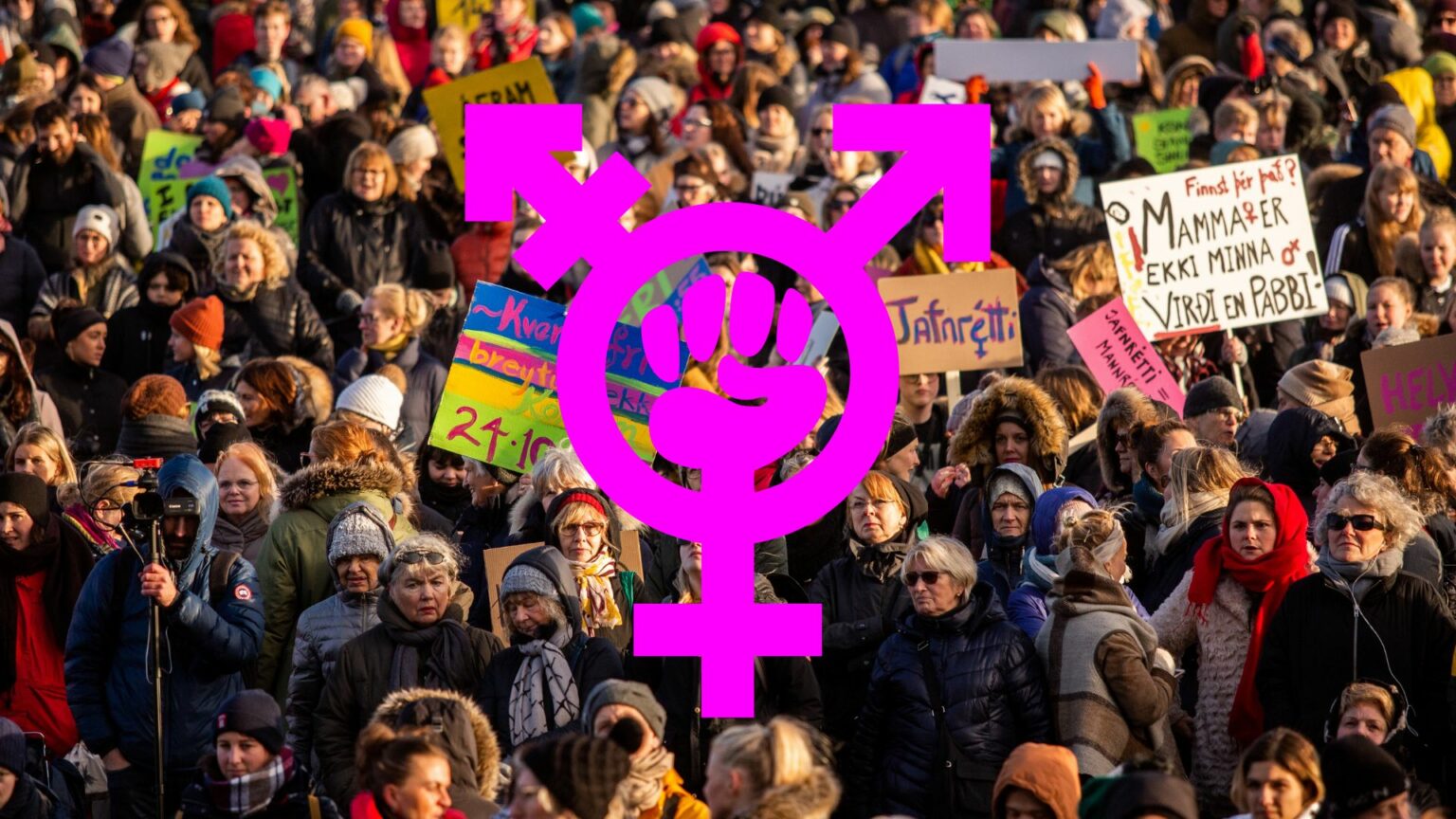 Transfeminism and the Women's Movement in Iceland - Kvenréttindafélag ...